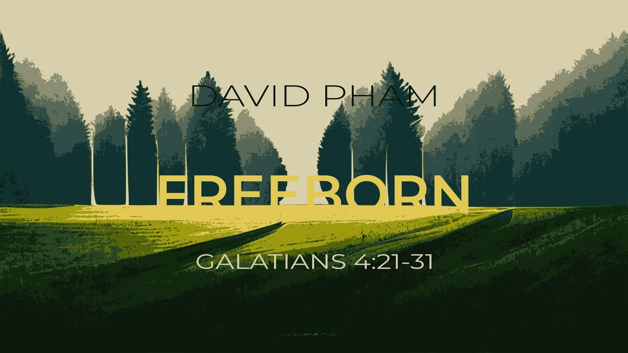 2022-10-23 Freeborn (David Pham) - YouTube