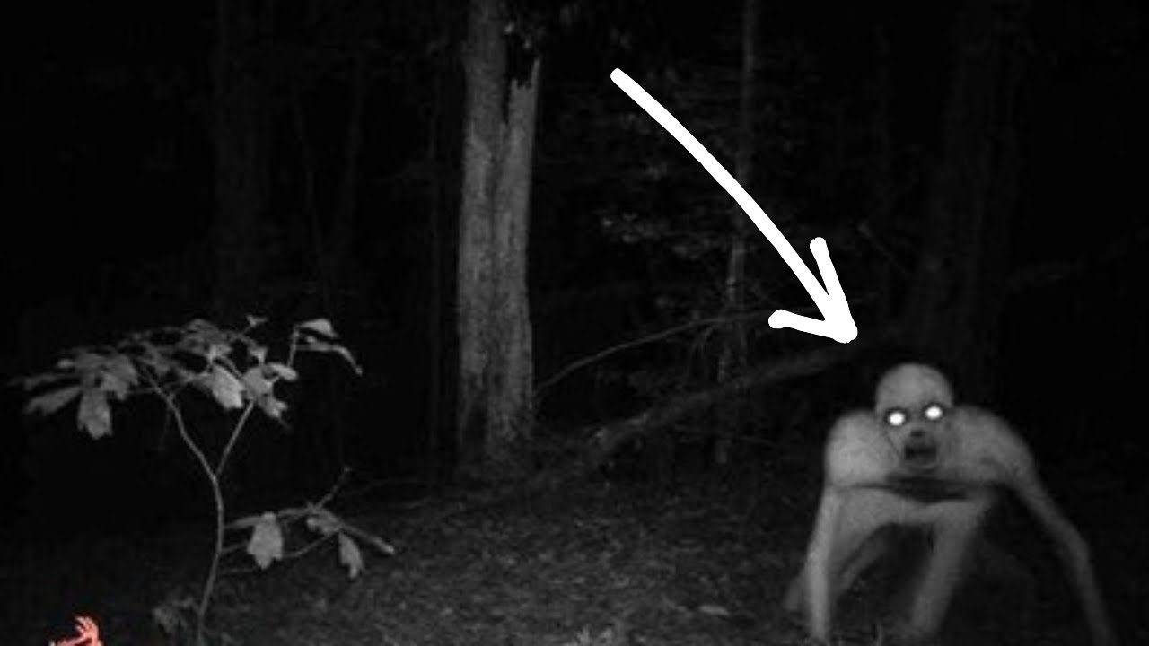 One In A Million: Rare & Scary Animal Moments Caught On Camera - YouTube