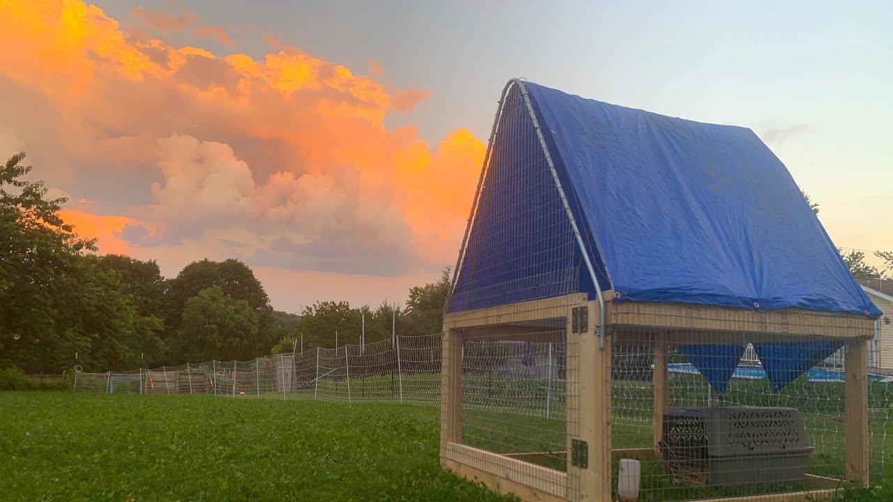 Turkey Tractor - YouTube