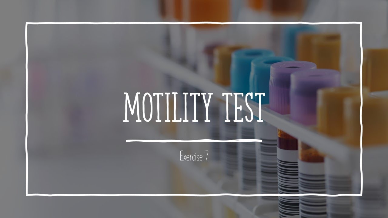 Motility Test - YouTube