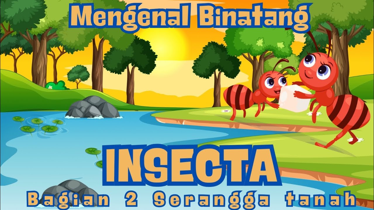 BELAJAR MENGENAL NAMA HEWAN INSECTA 2 SERANGGA TANAH | ANIMAL'S NAME ...