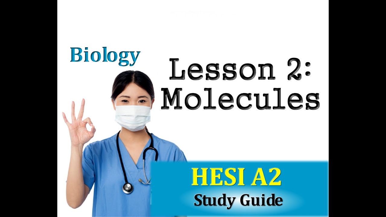 HESI Biology Review - Lesson 2 Molecules - YouTube