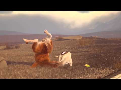 Funny Animal animation   Lama Drama   short movie May 2014 HD  Caminandes