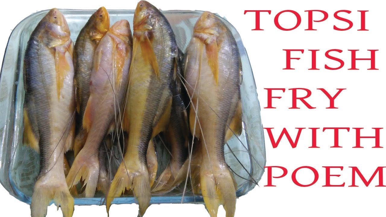 Topse Fish Fry | Mouthwatering Most Popular Topse Fry And Poem | Topse ...