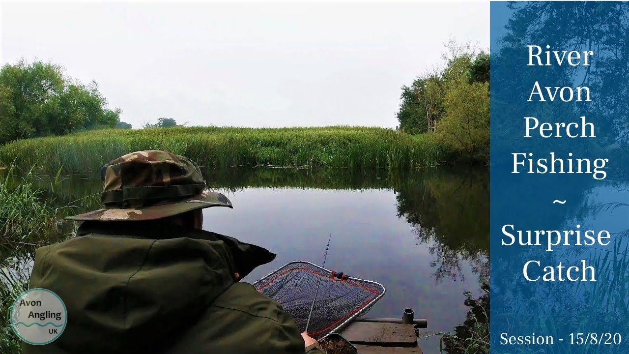 Perch Fishing The Avon (Surprise Catch Too)...In The Drizzle - 15/8/20 ...