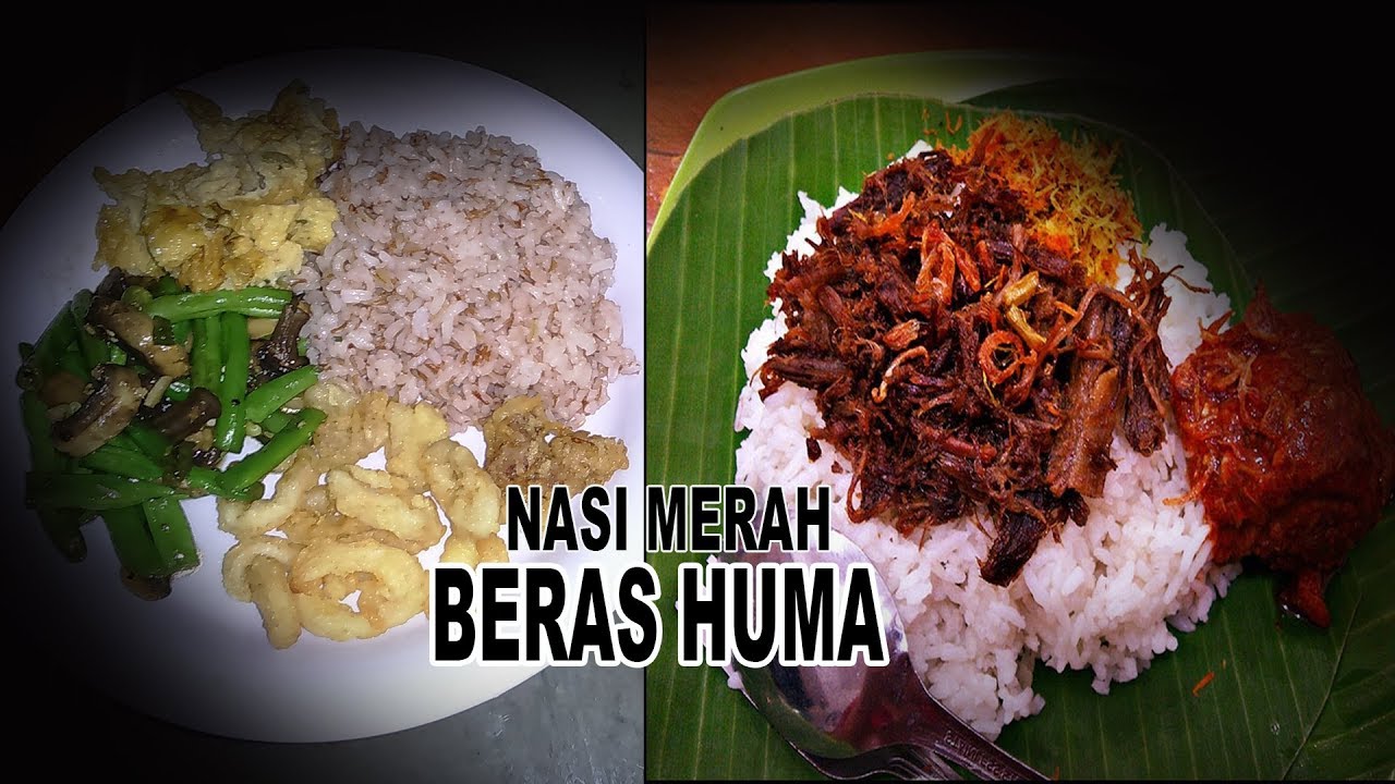 NASI BERAS MERAH HASIL PANEN DARI HUMA YANG MENYEHATKAN - YouTube