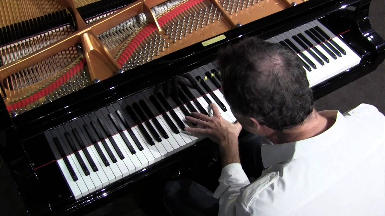 Perdido - Dan Delaney Jazz Trio - YouTube