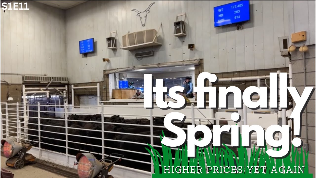 S1E11 First Day of Spring - YouTube