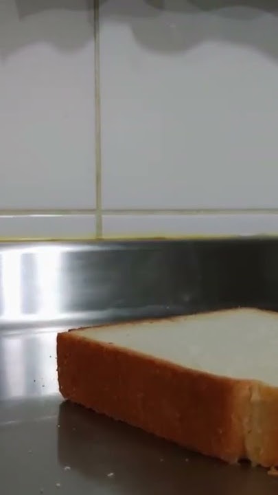 Toast falling - YouTube