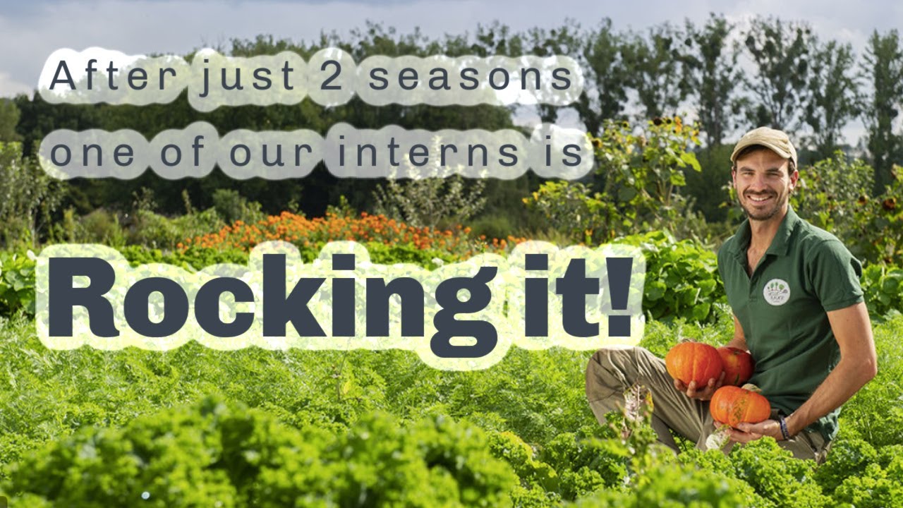 HELLE BAUER Second year update with Jasper de Wit (part 1) - YouTube