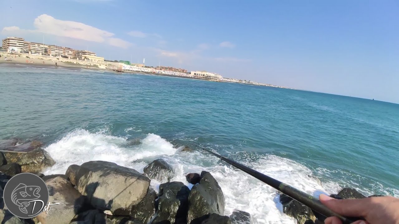 PESCA con la BOMBARDA | Pesca alle AGUGLIE con mare poco MOSSO🔥 - YouTube