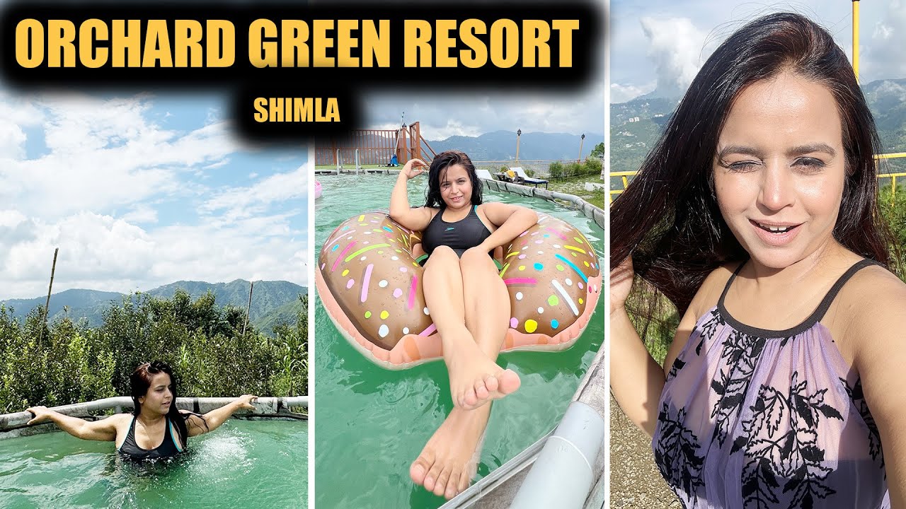 Best Stay For Relax In Shimla | Himachal Pradesh | Bhukkad Yatri - YouTube