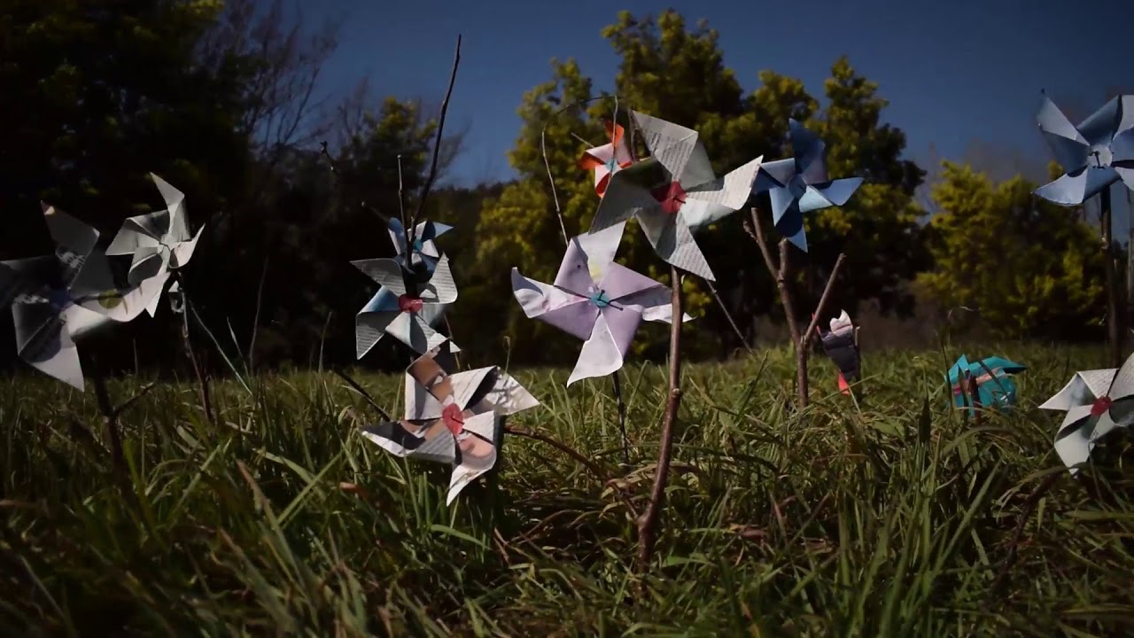 Pinwheel Windmill Fields - YouTube