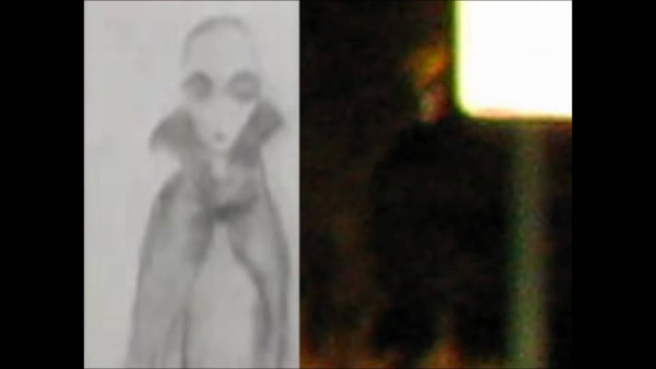 Abductee takes photo of real alien!! - YouTube