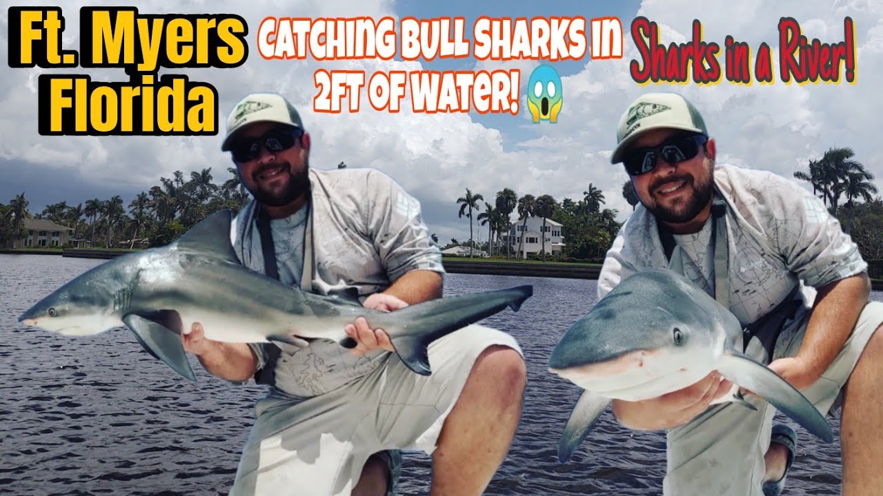 Catching BULL SHARKS in 2FT of Water in a RIVER! 😱 Fort Myers Florida ...