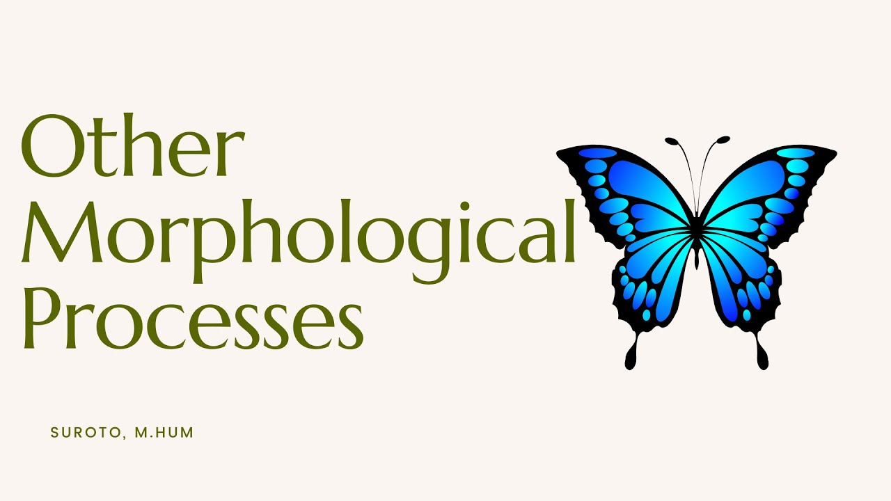 OTHER MORPHOLOGICAL PROCESSES - YouTube
