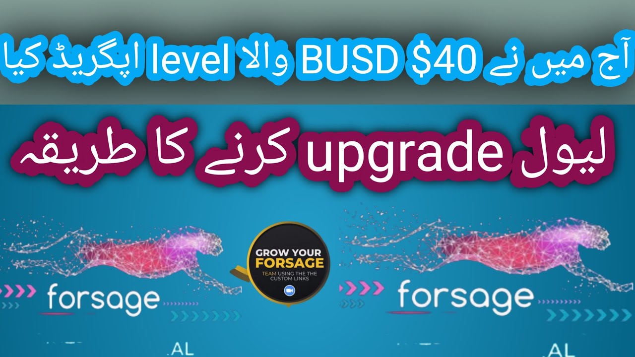 How To upgrade level in forsage - YouTube