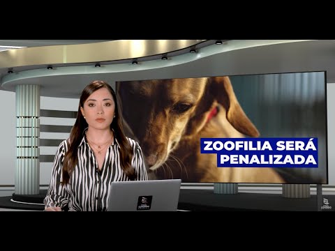Flash Informativo I Penalizar la zoofilia, prioridad 2025
