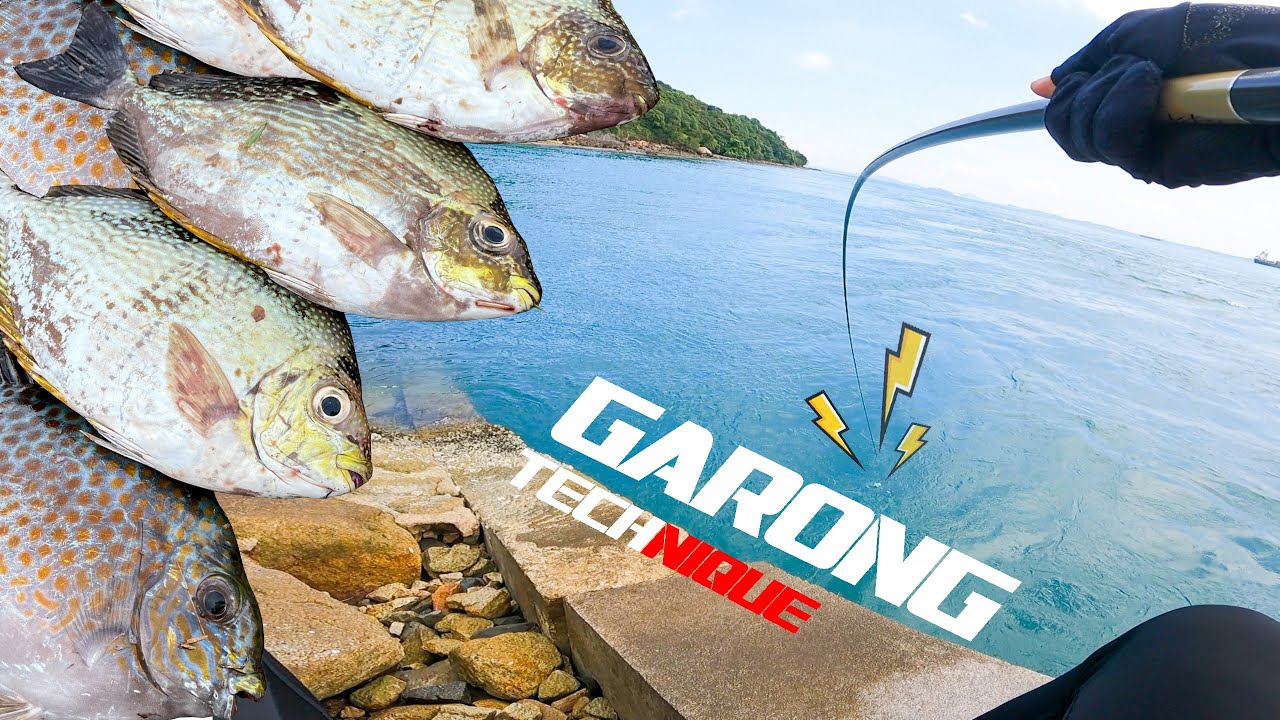 Rabbitfish Fishing - Garong Technique at St John's Island Singapore ...