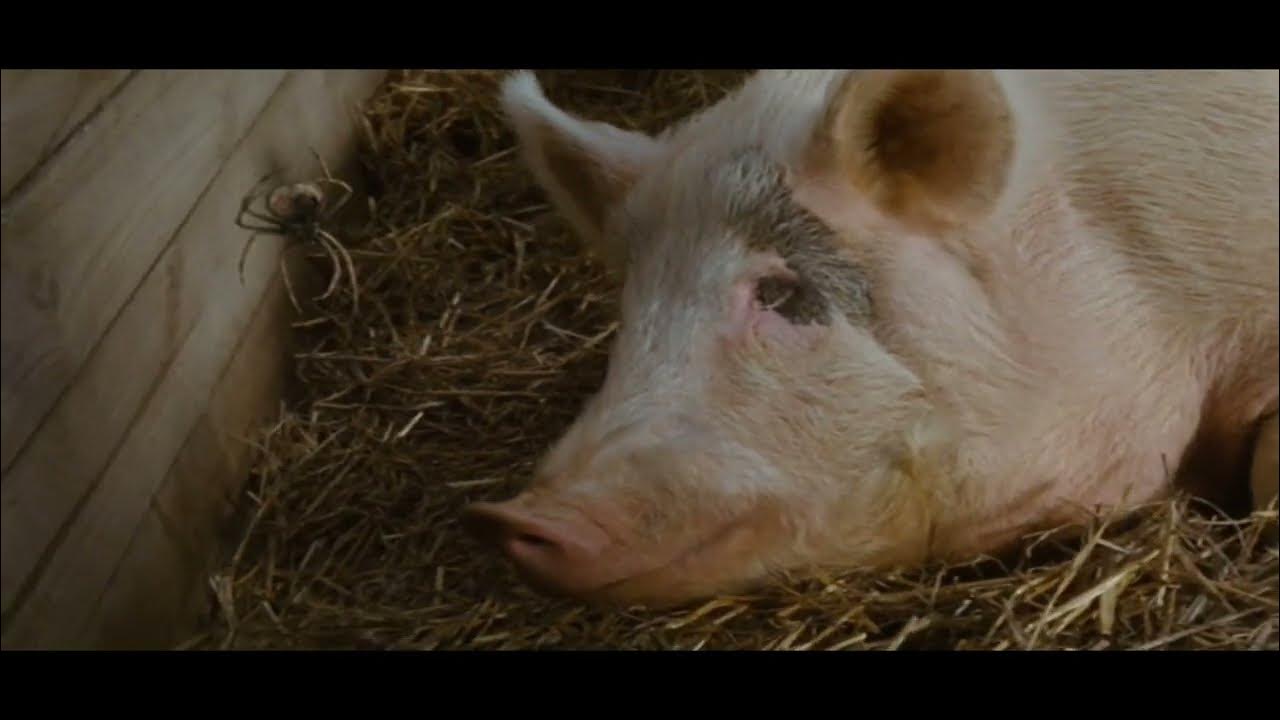 Charlotte's Web (2006) - a very fat pig - YouTube