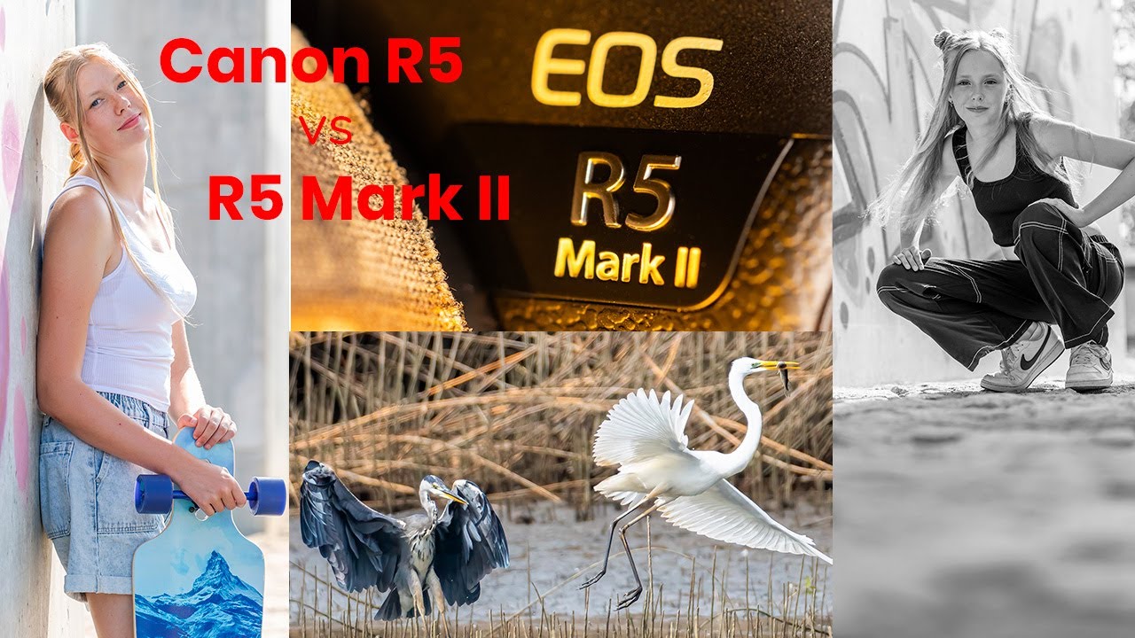 Canon R5 vs R5 Mark II - YouTube
