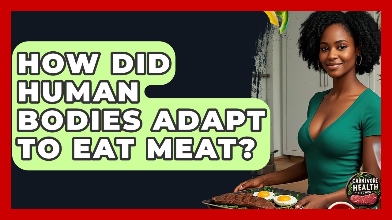 How Did Human Bodies Adapt To Eat Meat? - Carnivore Health Kitchen ...