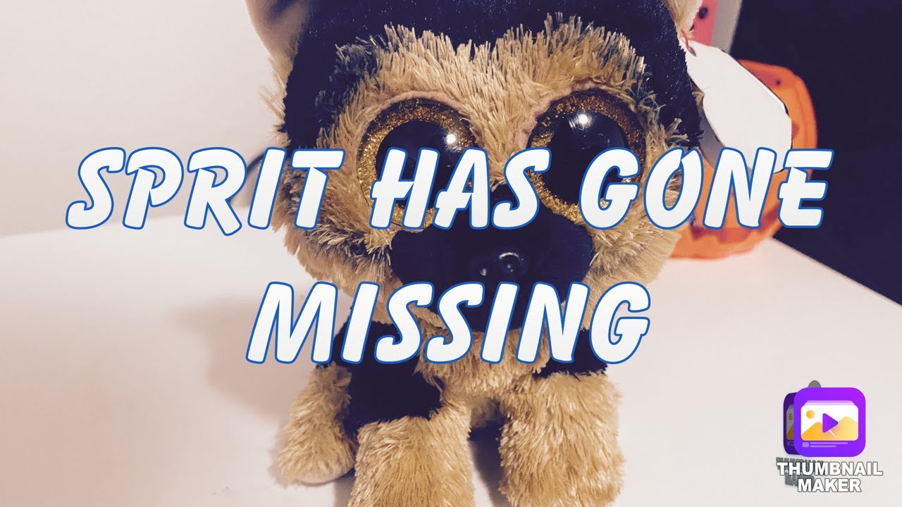 Beanie boo news!! Spirit Is missing!! - YouTube