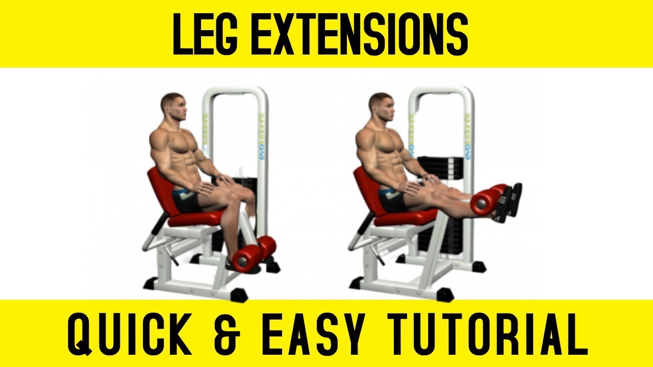 LEG EXERCISES | LEG EXTENSIONS - YouTube