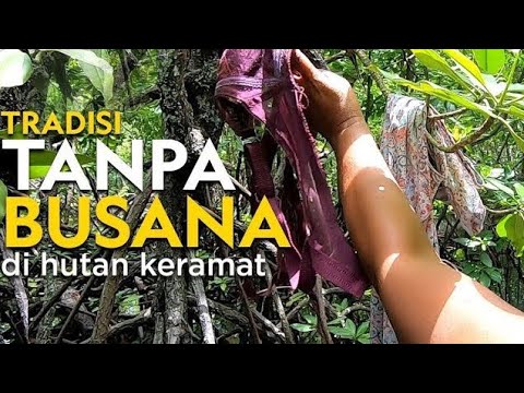 Gak Lihat Bakal Rugi..Cepat Tonton Sebelum Di Hapus‼️.Ngintip Kehidupan suku  pedalaman Jawa Tengah