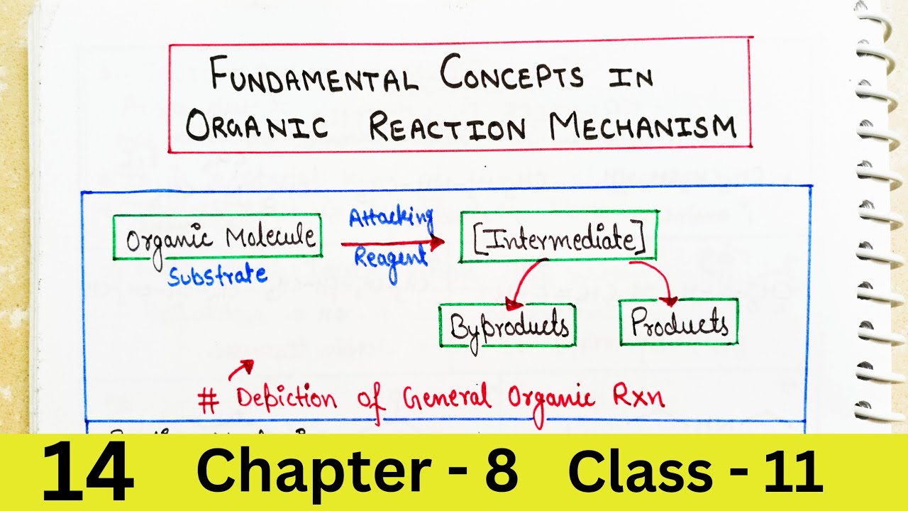 Carbocation Carbanion intermediate | Homolytic and Heterolytic Fission ...