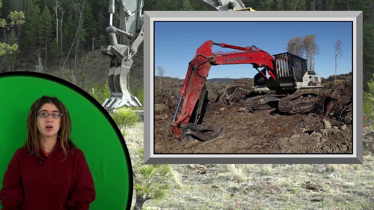 Tree Planter Training 2019 - Site Preparation - YouTube