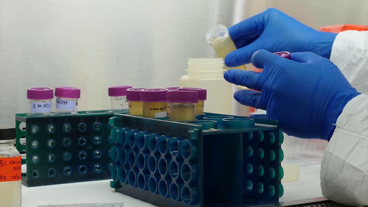 BMFS laboratory protocol - Secondary concentration: skimmed milk ...