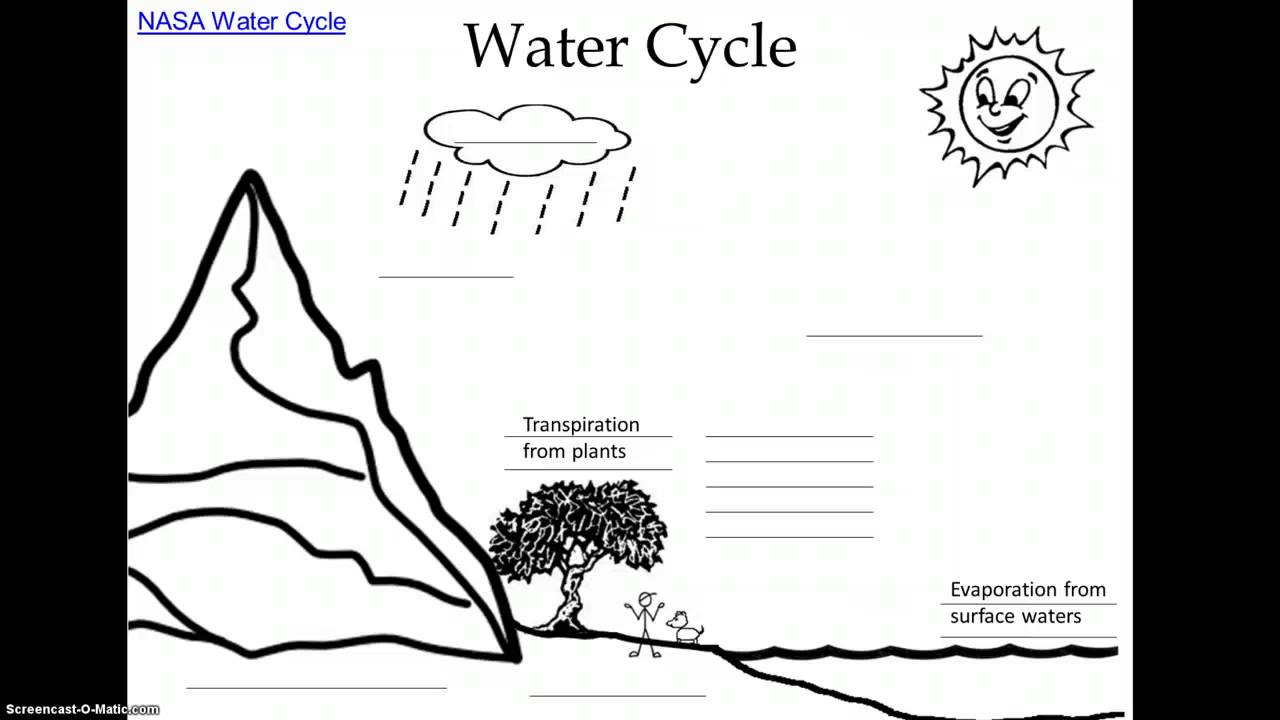 Unit 1 Video Segment 2 Biogeochemical Cycles & Water Cycle - YouTube