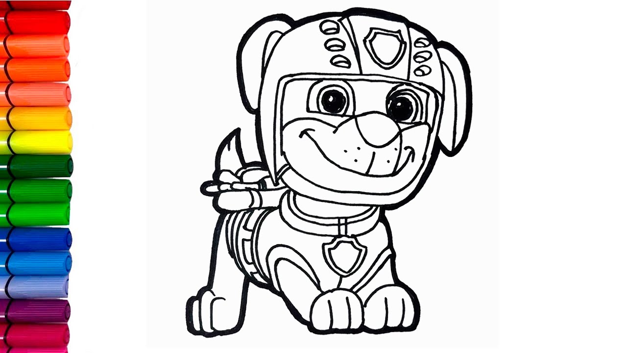 How to draw Zuma || Drawing and Coloring Paw Patrol step by step - YouTube