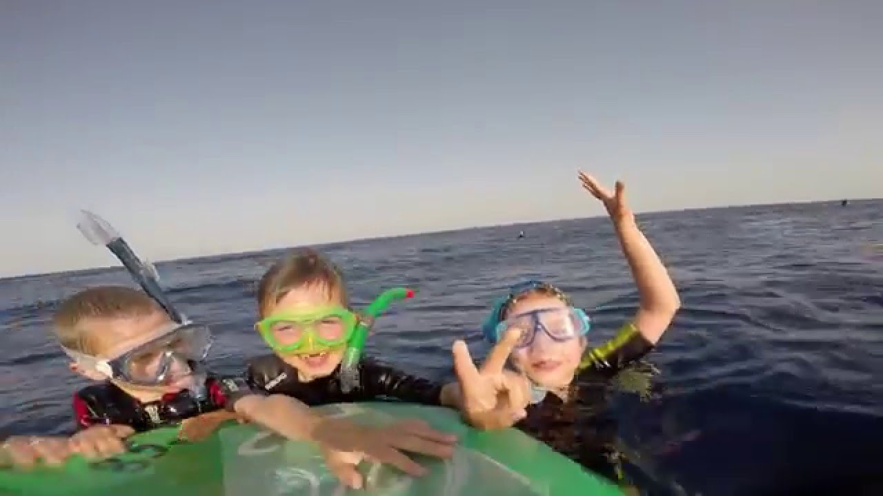 Детский Фридайвинг. Freediving for children. - YouTube