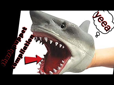 Shark puppet compilation - YouTube
