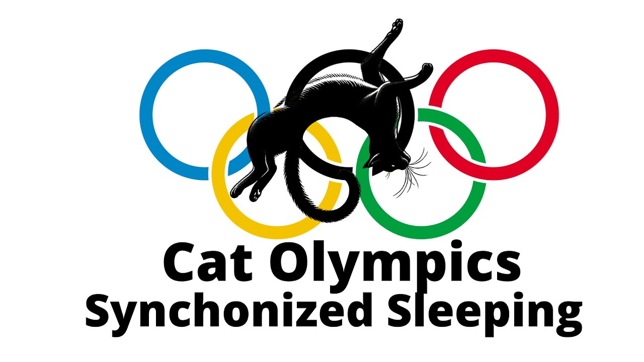Cat Olympics - Synchronized Sleeping - YouTube