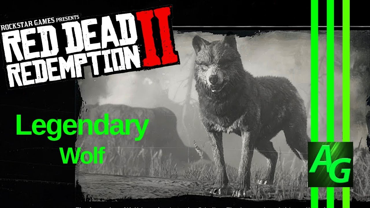 Red Dead Redemption 2 Legendary Wolf location - YouTube