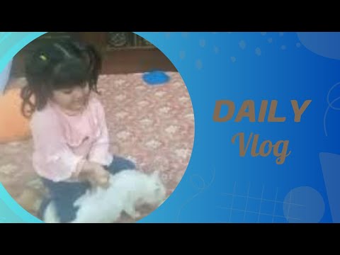 Shifa Fatima play with cat|#cute #shifa - YouTube