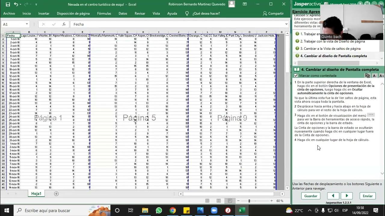 Lección 5.5 - Excel 2016 Core - Certificación MOS - Jasperactive: Cambiar las vistas del libro ...