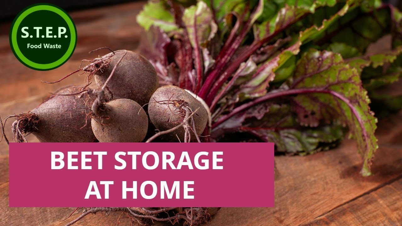 How To Store Beets /Beet Storage At Home /50% of all Root Vegetables ...