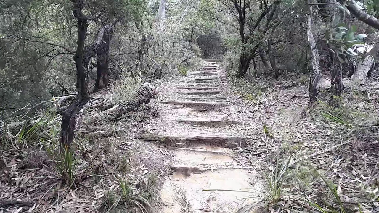 Kiah Lookout to Leura Fall Lookout and Back Walk - YouTube