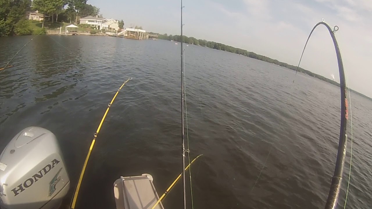 GOPR0947/Deep Water Catfish/8-15-18 - YouTube
