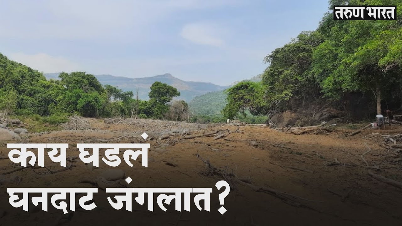 चला करूयात सफर tillari जंगलाची | Tilari Ghats | Tilari wildlife | Kokan ...
