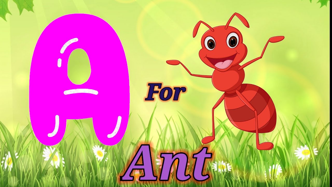 Abcd, abc alphabet, a for ant, b forbutterfly, c for cat, abc kids ...