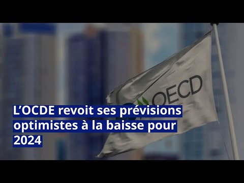 L'OCDE : Quelle est son rôle dans l'économie mondiale