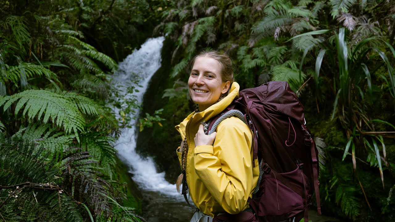 Waihāhā Hut Walking Track | Pureora Forest Park, Waikato | NZ native ...