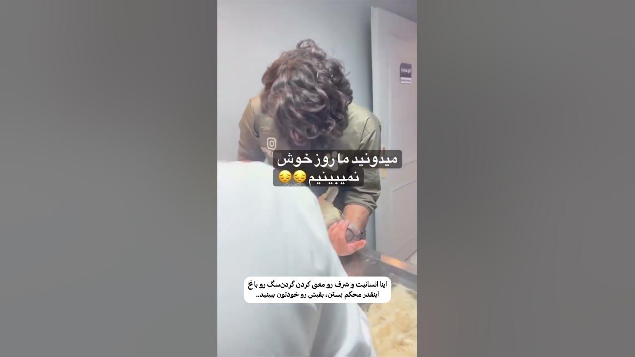 اشکم در اومد با دیدن این صحنه تا آخرش ببینید Youtube