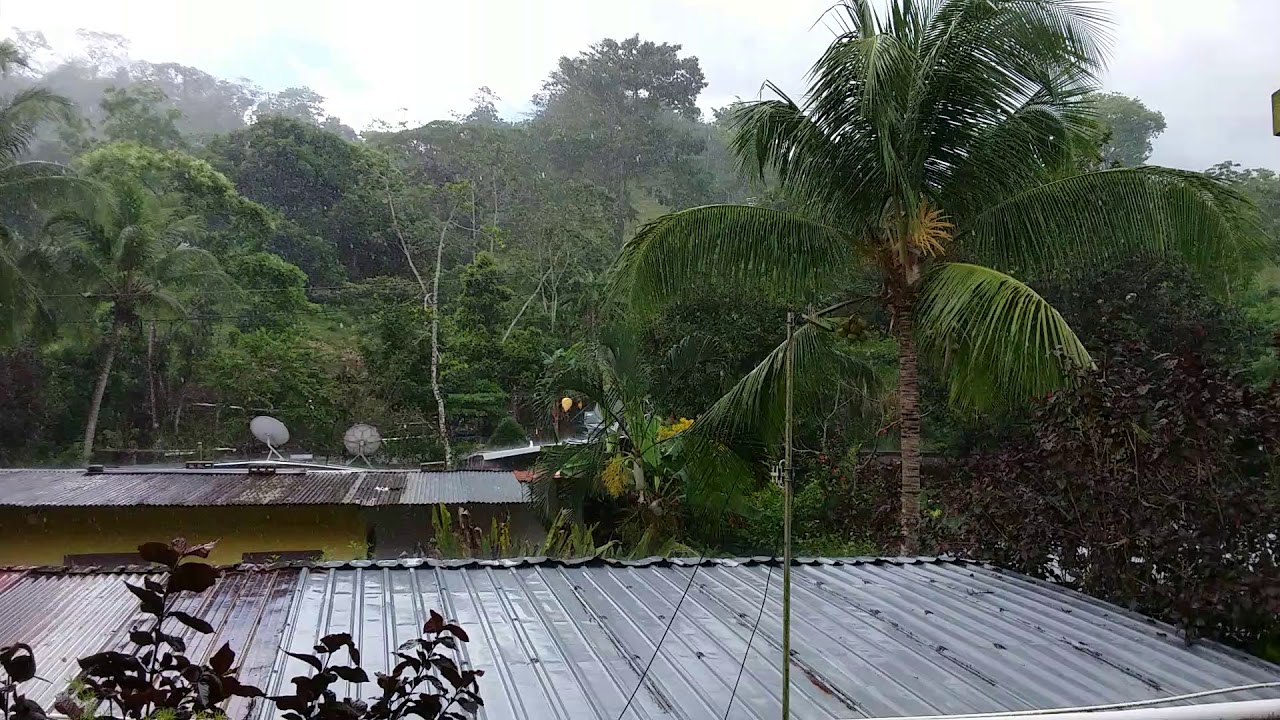 Rain in Panama - YouTube