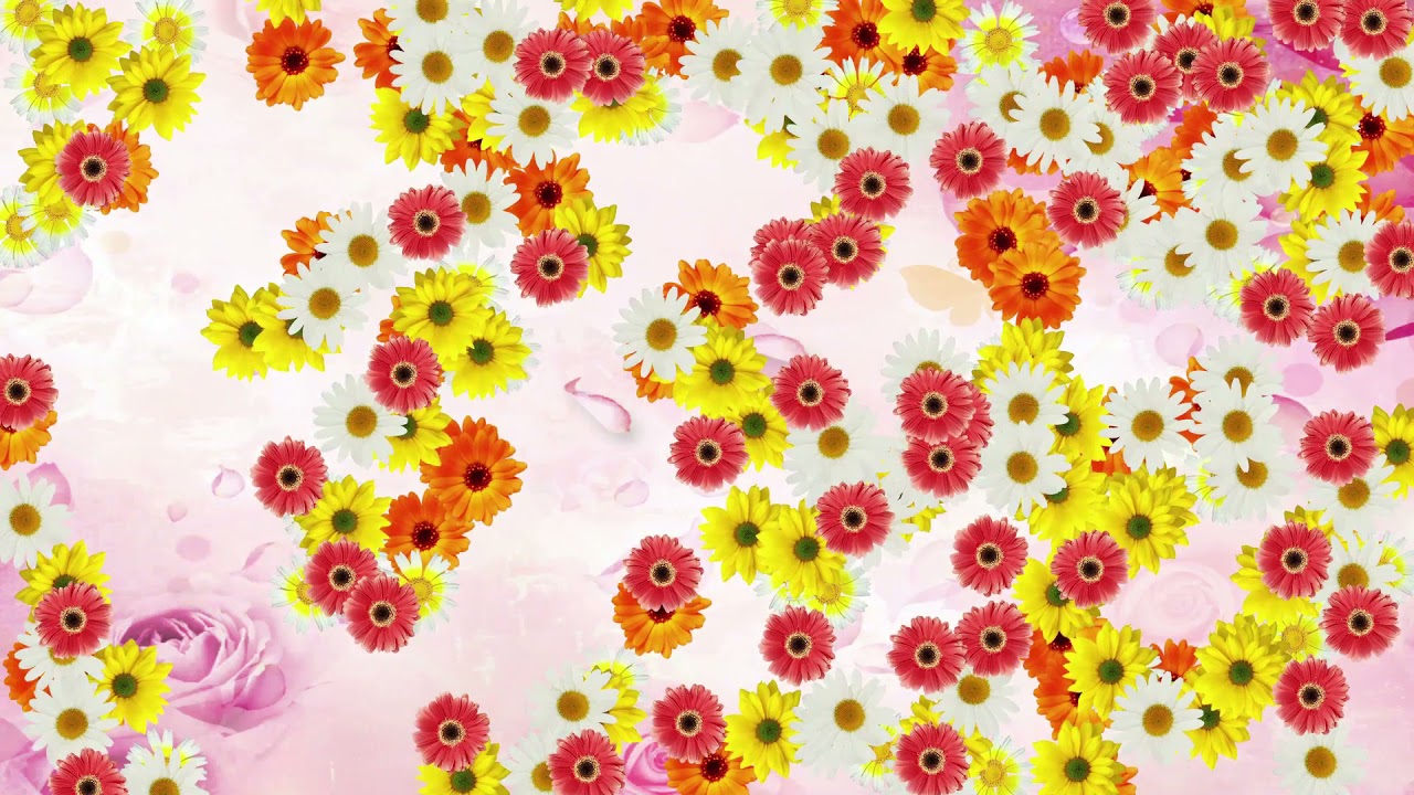 Interactive floor software Flowers - YouTube